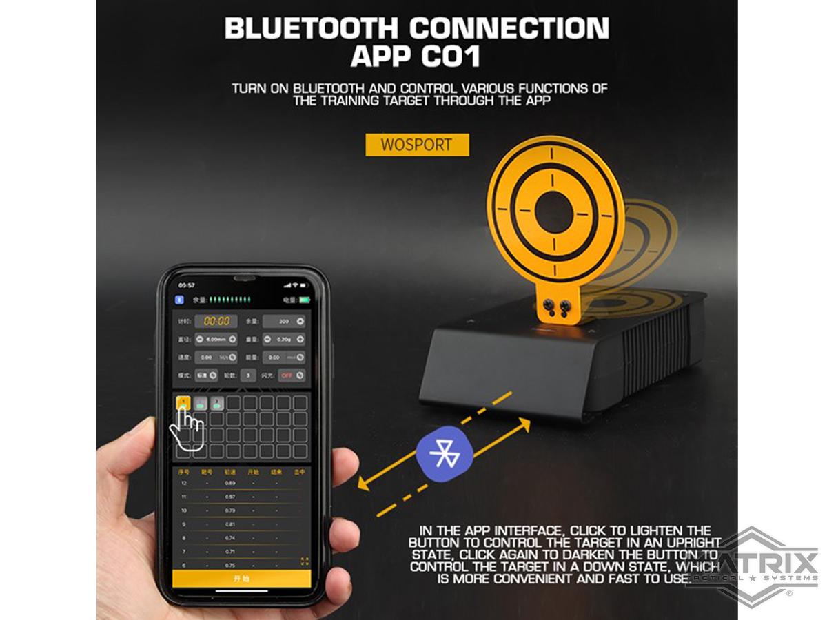 Matrix WST Synchronized Target System (Model: Single Target ...