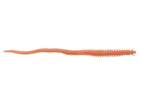 Berkley Gulp! Saltwater Sandworm Fishing Lure (Color: Natural / 6 ...