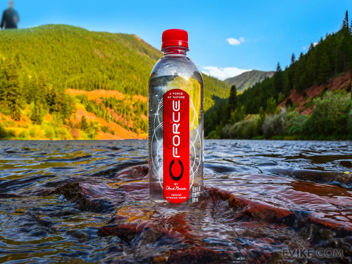 CForce 16.9 Fluid Ounce Chuck Norris Bottled Artesian Water, MORE ...