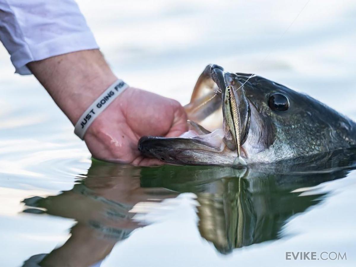 Berkley PowerBait® The Champ Minnow Fishing Lure (Color: HD Baby Bass ...