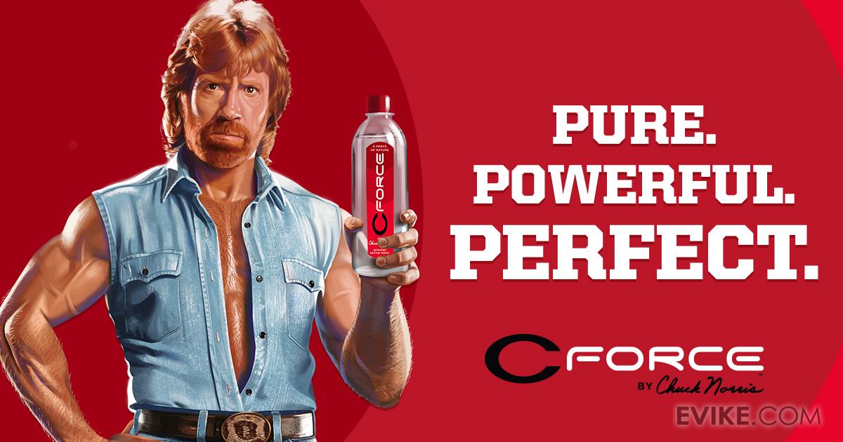 CForce 16.9 Fluid Ounce Chuck Norris Bottled Artesian Water, MORE ...