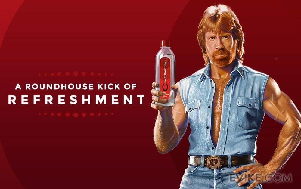 CForce 16.9 Fluid Ounce Chuck Norris Bottled Artesian Water, MORE ...