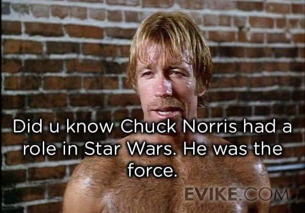 CForce 16.9 Fluid Ounce Chuck Norris Bottled Artesian Water, MORE ...